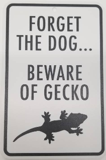 Sign - Beware of Gecko - Gecko Image – C3 Ledges